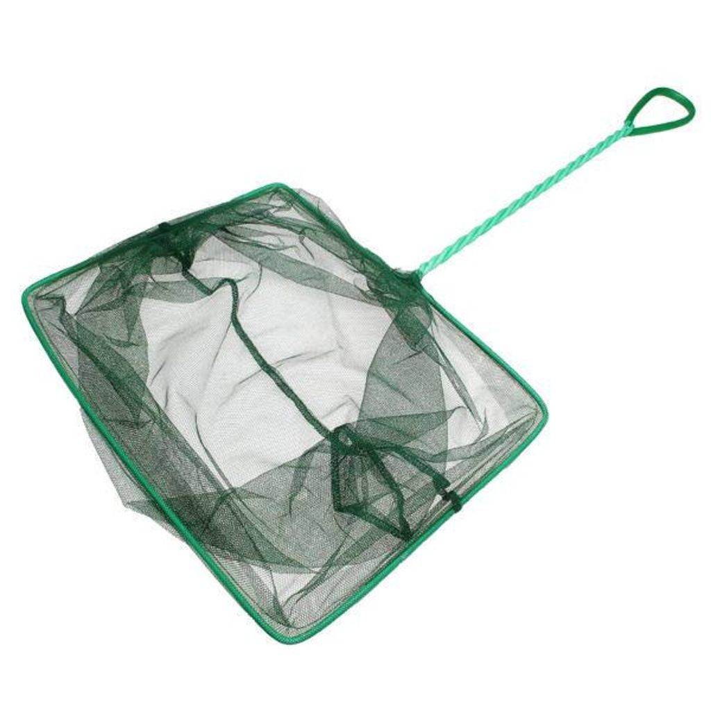 Net fingerlings 30cm | Dams Products and Accessories | Shop Online ...