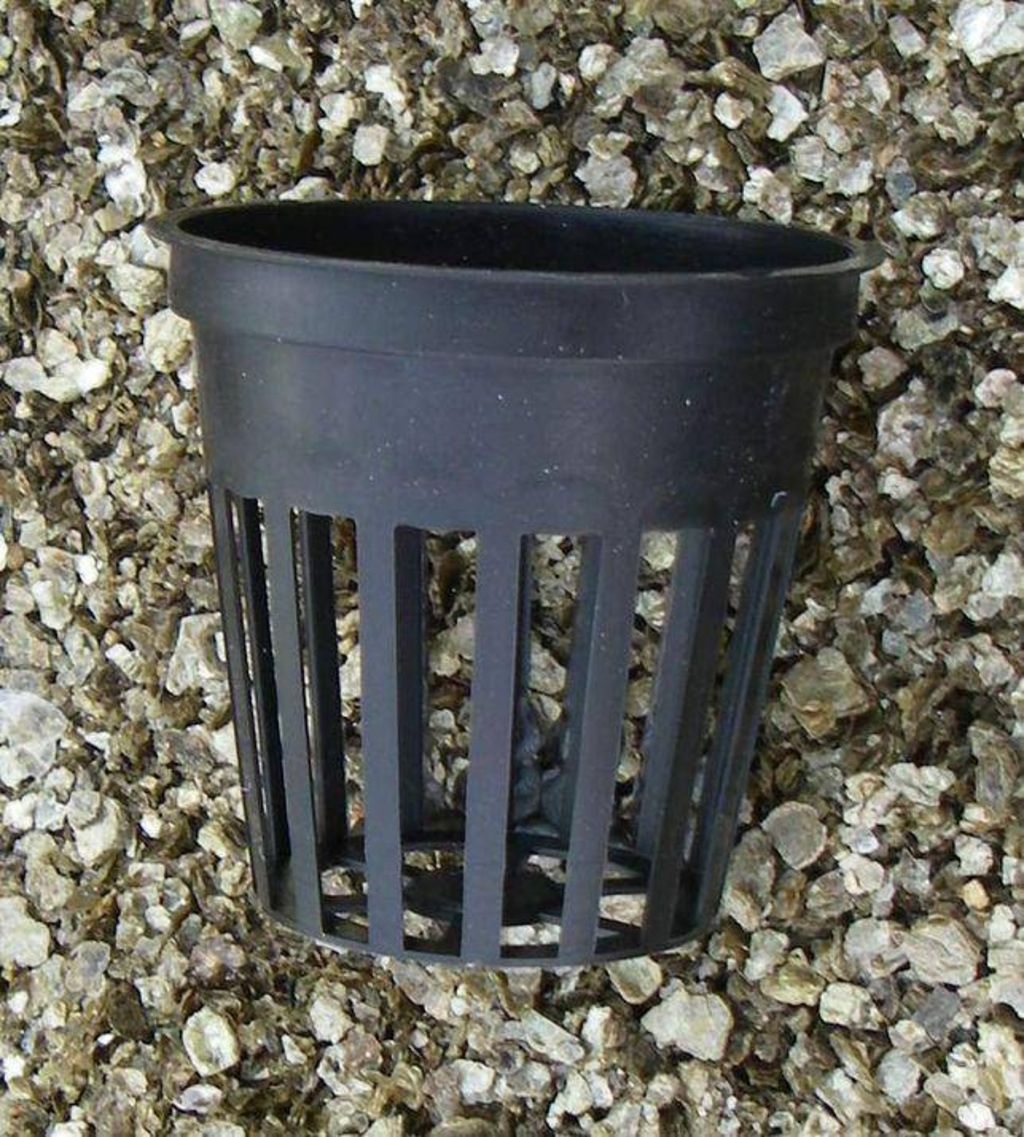 Propagation pots 5cm (1000) | Aquaponics | Shop Online | Aquaculture ...